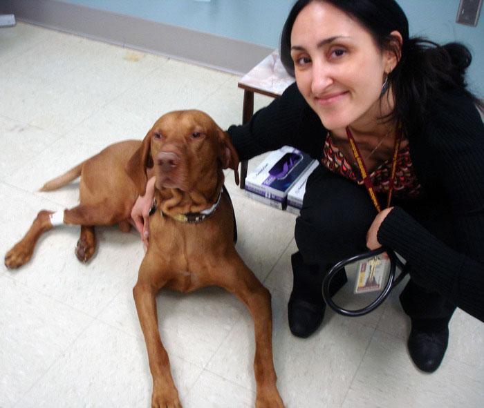 University of Minnesota develops cancer drug that helps dogs with ...