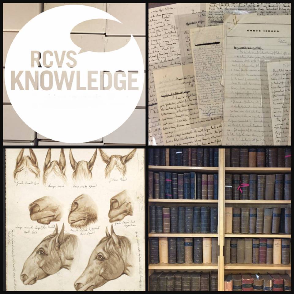 RCVS archive gives inside look at British veterinary history ...