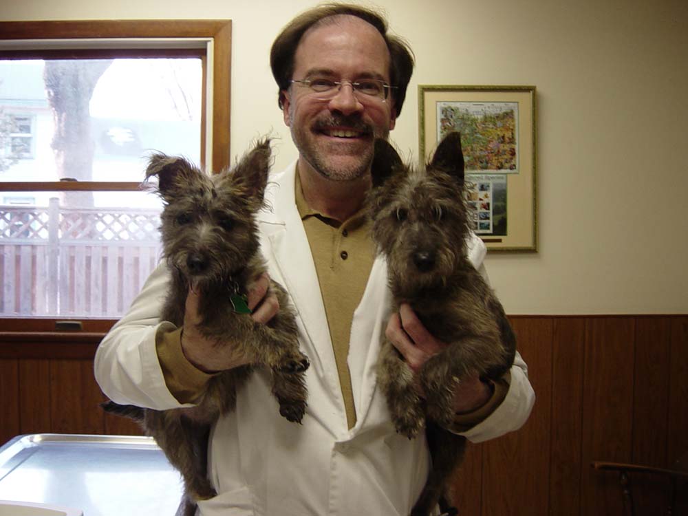 Becoming Jim Murphy - Veterinary Practice News Canada