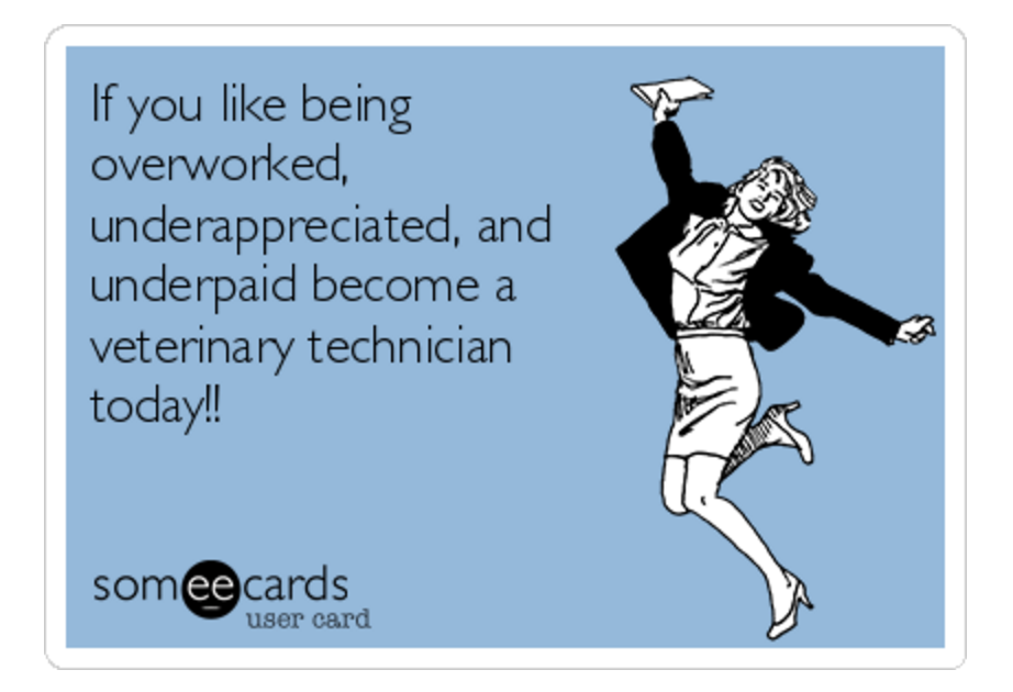 Where did all the vet techs go? - Veterinary Practice News