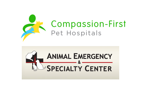 Colorado Animal Hospital joins Compassion-First Network - Veterinary ...