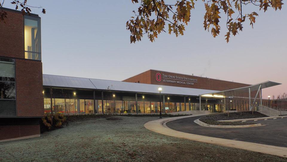 OSU to renovate both veterinary medical center ortho facilities ...