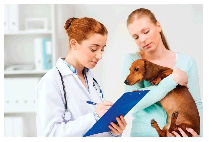 Why vets need to raise our voices - Veterinary Practice News Canada