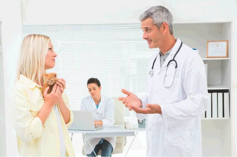 Why a lack of focus can ruin communication in the vet practice ...